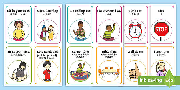 Behaviour Cards for Students - English/Mandarin Chinese