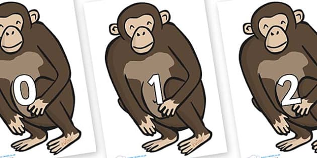 Numbers 0-31 on Chimps (teacher made) - Twinkl