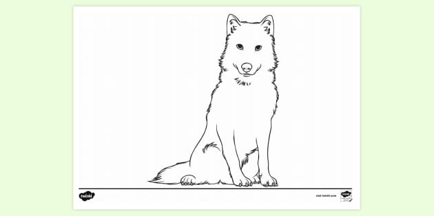 Printable Husky Colouring Page | Colouring Sheets - Twinkl