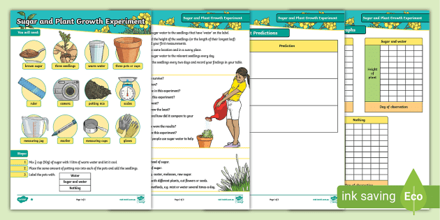 Plant Growth Measurement Worksheet
