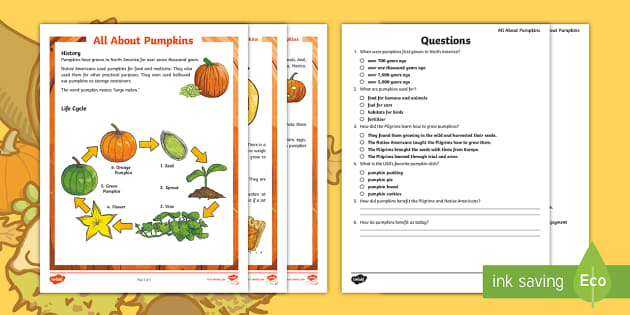 Third Grade All About Pumpkins Reading Comprehension Worksheet