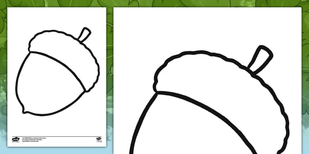 Acorn Coloring Page (Teacher-Made) - Twinkl