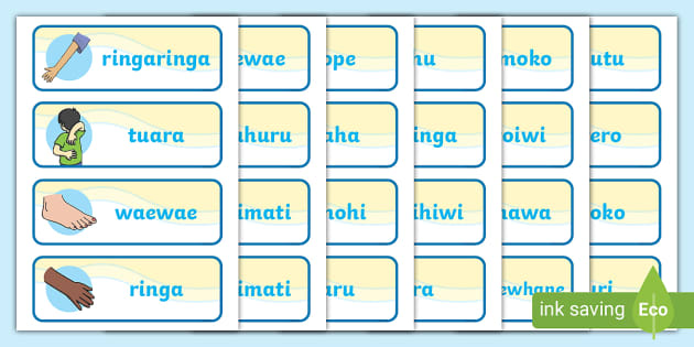 Parts of the Body Topic Words Te Reo Māori (Teacher-Made)
