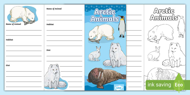 Arctic Animals Leaflet Template (Lehrer gemacht) - Twinkl