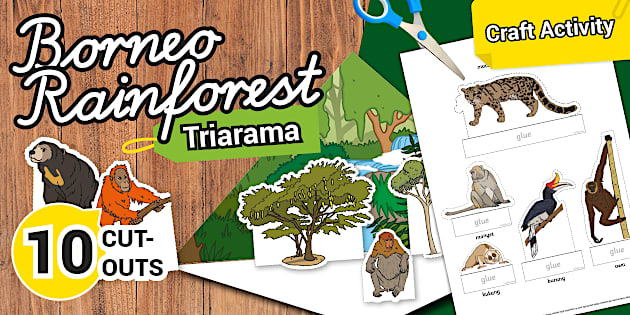 Borneo Rainforest Triarama Triorama Craft - Indonesian