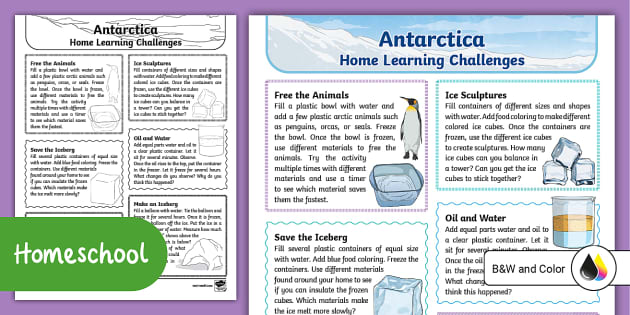 Antarctica Home Learning Challenges (teacher made) - Twinkl