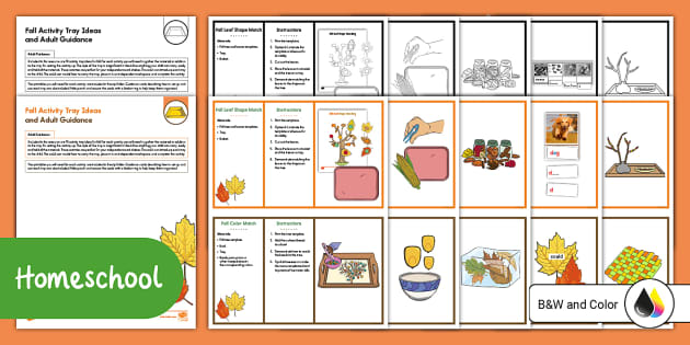 Fall Leaves and Seeds Activity Tray Ideas and Adult Guidance