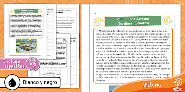 Comprensión Lectora | Chinampas Aztecas | Historia - Twinkl