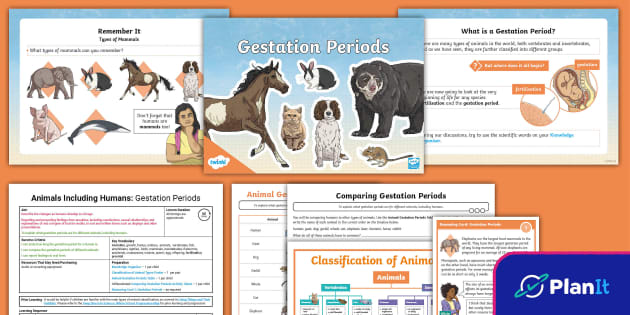 Science: Animals Including Humans: Gestation Periods Year 5 Lesson 1