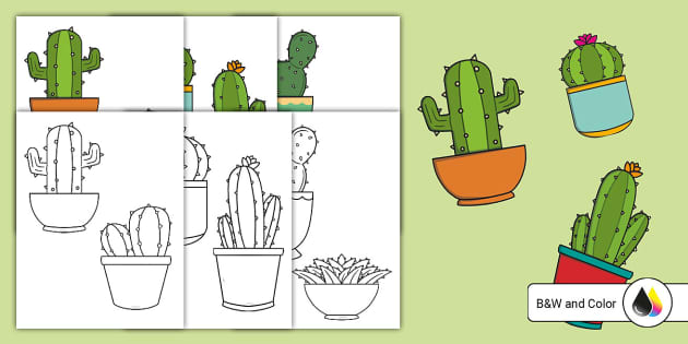 Succulent Cutouts (teacher made) - Twinkl
