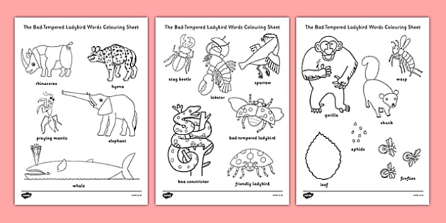 FREE! - Words Colouring Sheet to Support Teaching on The Bad Tempered ...