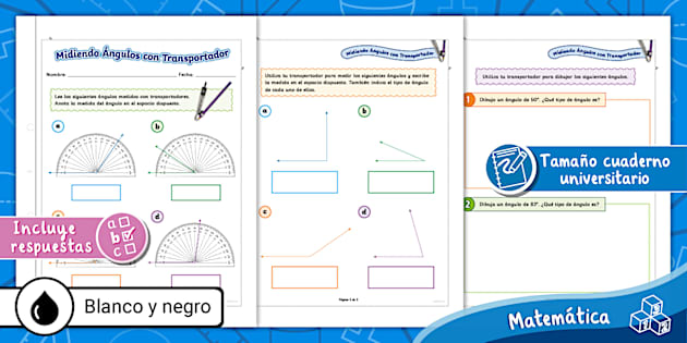 Guía | Ángulos | Transportador | Medir | 6° Básico