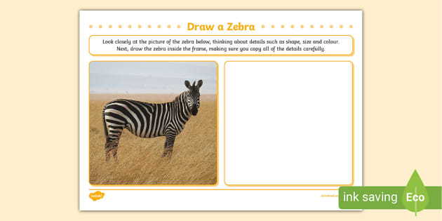 Draw a Zebra Art Activity,zebra (teacher made) - Twinkl