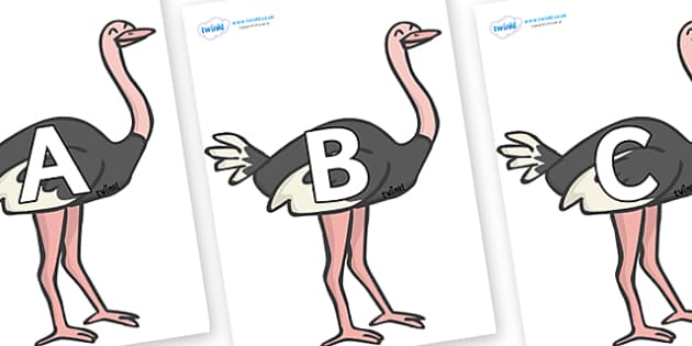A-Z Alphabet on Ostritches (Teacher-Made) - Twinkl