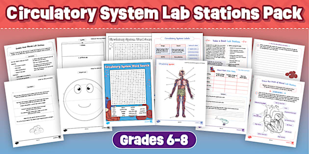 Hands-On Circulatory System Lab Stations Pack 6th-8th Grade