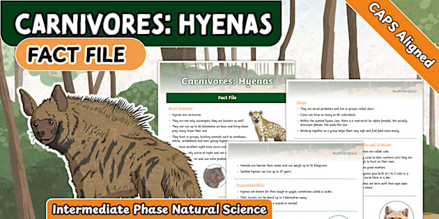Intermediate Phase Natural Science – Term 3 – Carnivores: Hyenas – Fact ...