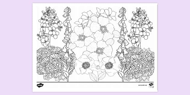 FREE! - Flower Colouring Page | Colouring Sheets - Twinkl