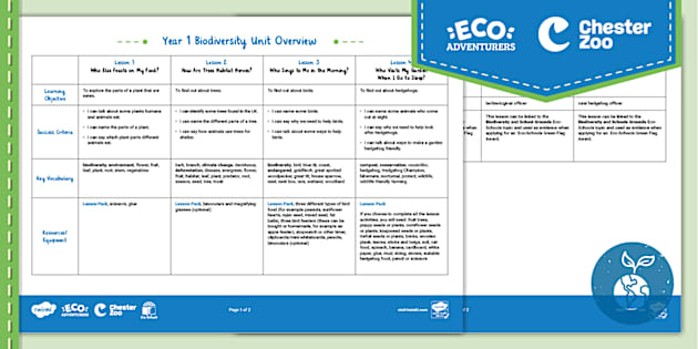 Year 1 Biodiversity: Unit Overview (teacher made) - Twinkl