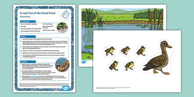 In and Out of the Duck Pond Sensory Bag | Early Concepts | Twinkl