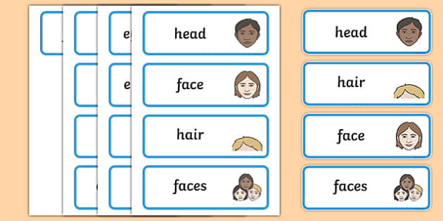 FREE! - My Face Word Cards - Face, features, word cards, flashcards