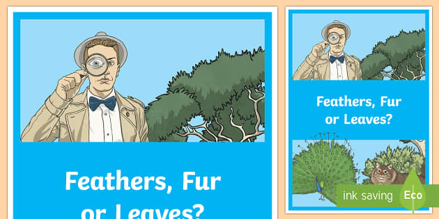 Feathers, Fur or Leaves? Year 3 Biological Sciences Editable Book