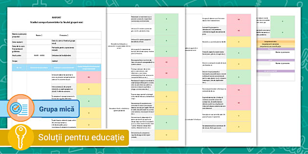 Generator de raport pentru evaluare grupa mică - Twinkl