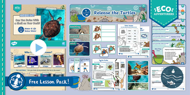 FREE! - EYFS: Sea Turtle - Can You Swim With a Shell on Your Back?