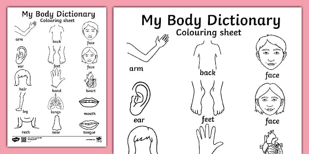 My Body Colouring Sheet - Primary Resources (teacher made)