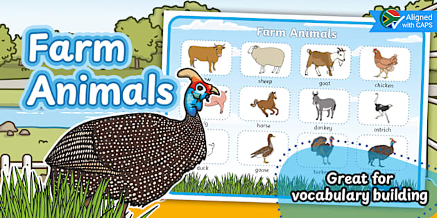 Types of Farm Animals Word Mat