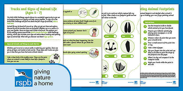 FREE! - Tracks and Signs of Animal Life (Ages 5 - 7)