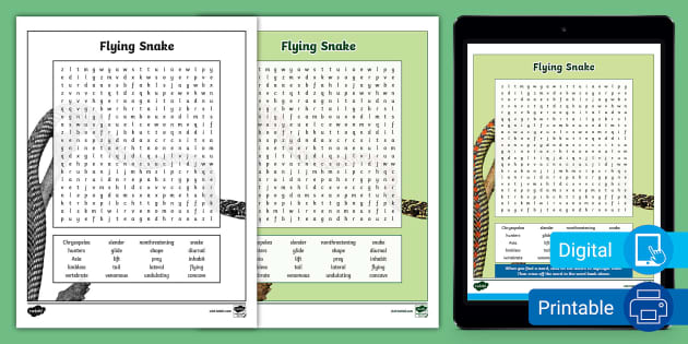 Eighth Grade Flying Snake Word Search Worksheet - Twinkl