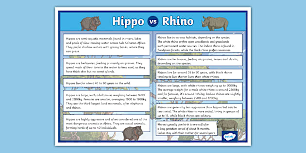 Hippo vs Rhino Fact File (teacher made) - Twinkl