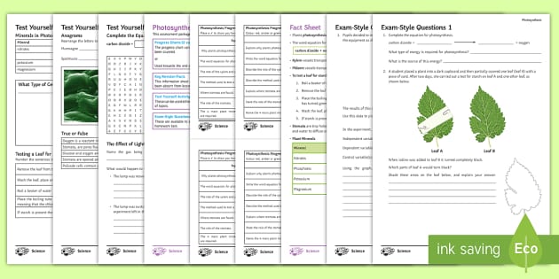 KS3 Photosynthesis Revision Pack | KS3 Biology | Beyond