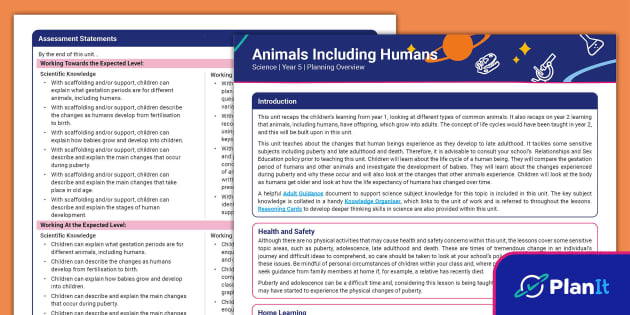 FREE! - Science: Animals Including Humans: Year 5 Planning Overview