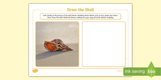 Draw a Shell Art Activity,beach art,shell,seashells - Twinkl
