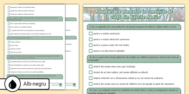 Adaptări ale plantelor – Evaluare formativă/ Temă PDF