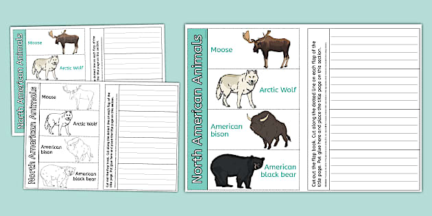 * NEW * North American Animals Flap Book (teacher made)