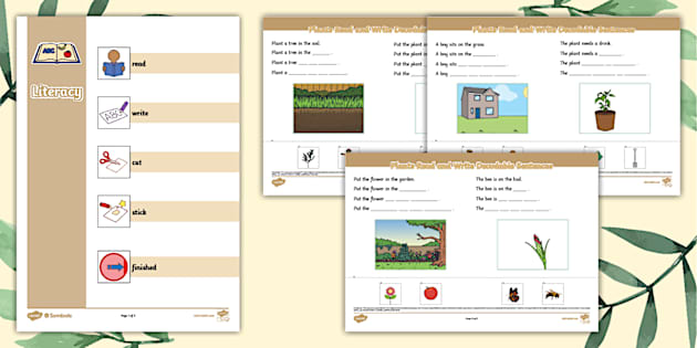 SEND Structured Steps: Read and Write Decodable Sentences