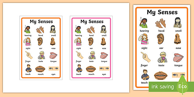 My Senses Ks1 Body Parts Word Mat Teacher Made Twinkl