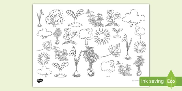 Nature Doodle Colouring Page - Twinkl