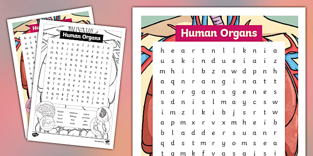 Human Organs Word Search (teacher made) - Twinkl