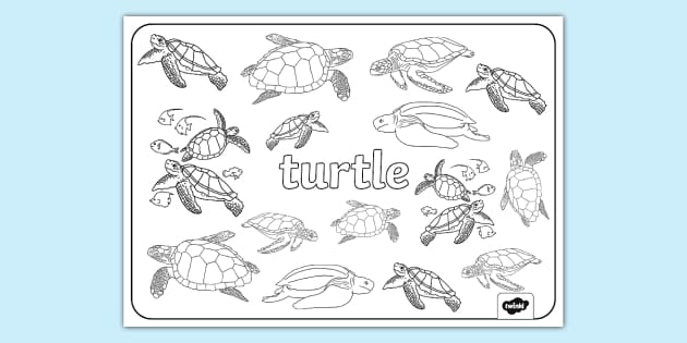 Turtle Doodle Colouring Page (teacher made) - Twinkl