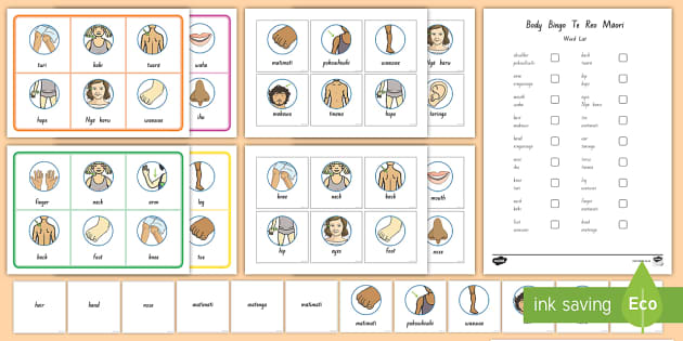 New Zealand Body Bingo (teacher made)