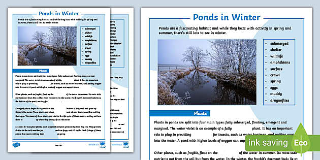 Winter Pond Habitat Worksheet (teacher made)