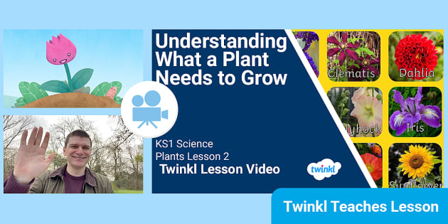 FREE! - KS1 (Ages 5-7) Science: What Plants Need to Grow Video Lesson