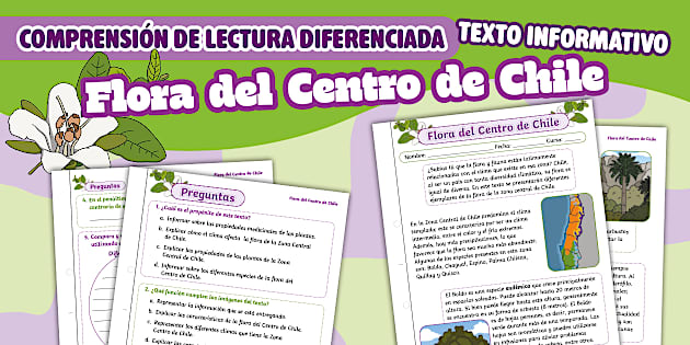 Comprensión de Lectura | Texto Informativo | 3° y 4° Básico