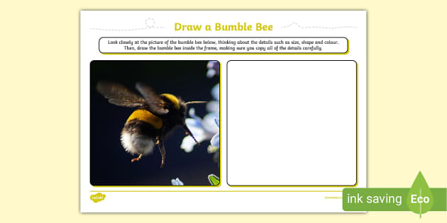 Draw a Bee Art Activity,insect art,draw a bee (teacher made)