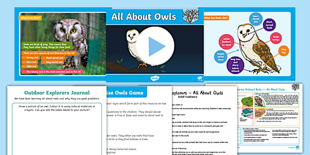 Outdoor Explorers: KS1 Winter Lesson 5 All About Owls