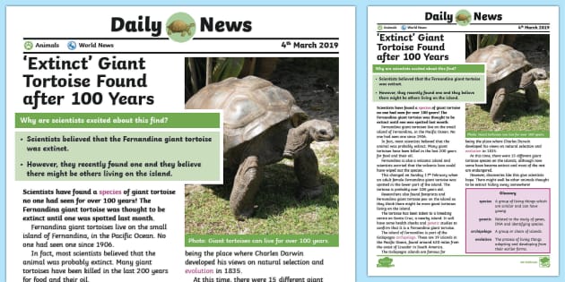 UKS2 Giant Tortoise News Story - Daily Twinkl NewsRoom