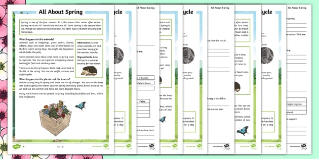 LKS2 Spring Differentiated Reading Comprehension - Twinkl